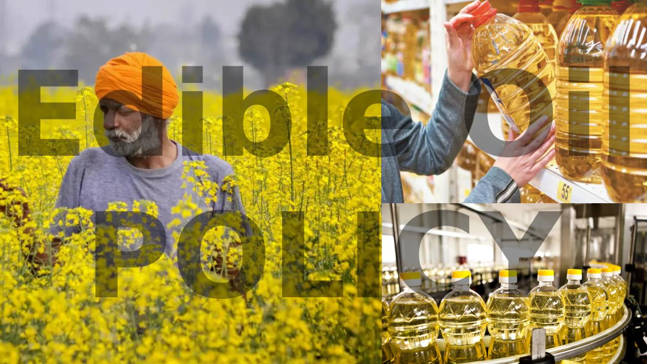 Market Diversification Can Manage Volatility in Edible Oil